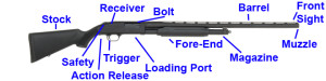 How to Properly Shoot a Shotgun - Pew Pew Tactical