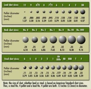 [Beginner's Guide]: Buckshot for Home Defense - Pew Pew Tactical