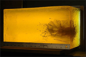 Best Shotgun Ammo: Home Defense & Range - Pew Pew Tactical