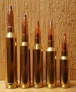 Best AR-10 Calibers: Power Packing Rounds for Hunting & Competition ...