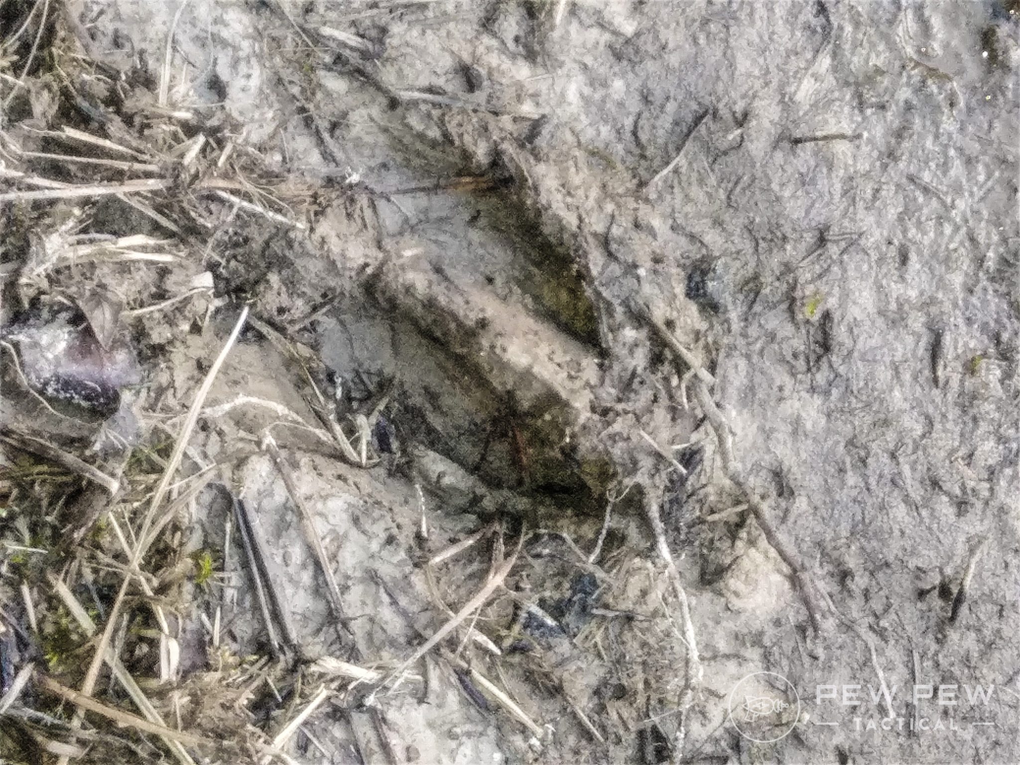 Introduction to Deer Hunting - Pew Pew Tactical