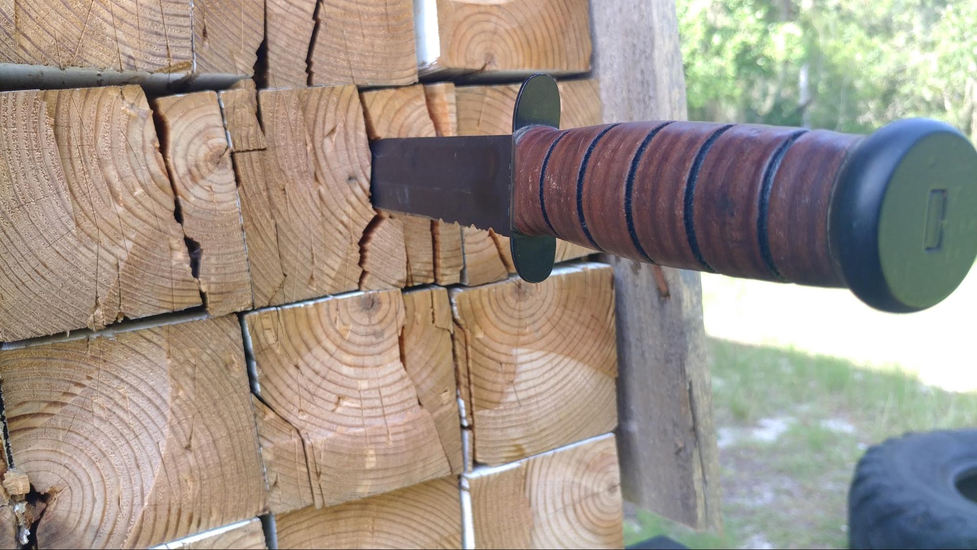 Best Survival Knives [All Budgets] - Pew Pew Tactical