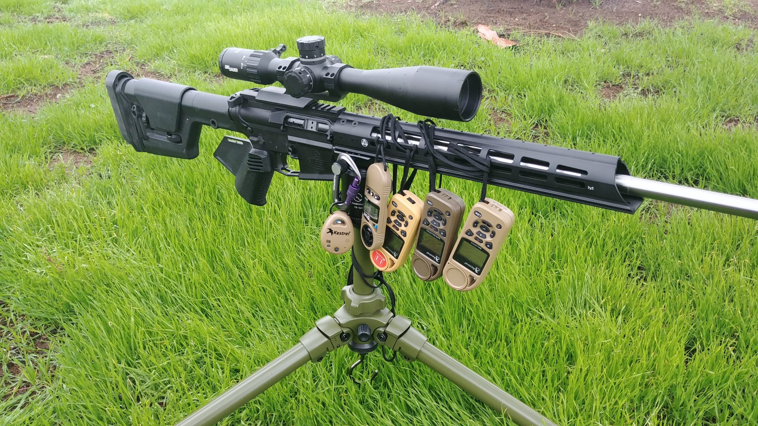 Current Iteration Of A Long Overdue Project, Kestrel & Grendel Edition ...