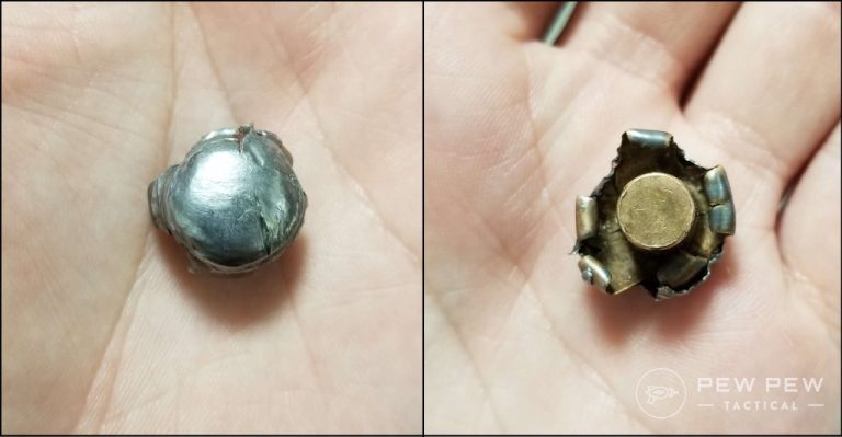 Best Rifles & Calibers for Hog Hunting [Tested] - Pew Pew Tactical