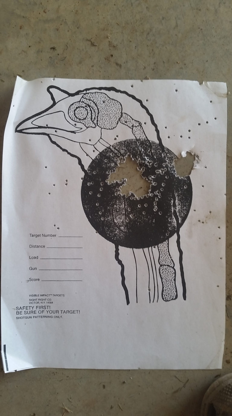 Shotgun Patterning 101: Getting Your Shotgun Ready for Home or the ...
