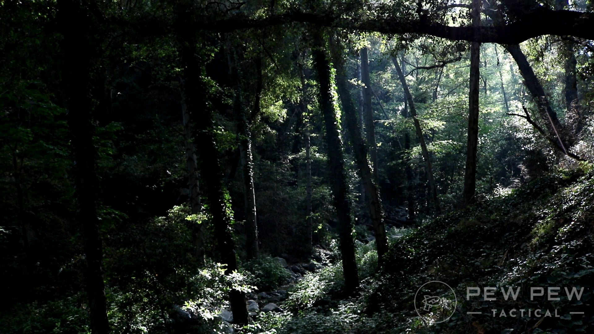 [How-To] Pee in the Woods & Best Devices for Ladies - Pew Pew Tactical