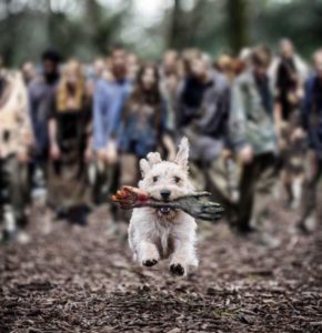 10 Best Wilderness Survival Courses [All Skill Levels] - Pew Pew Tactical