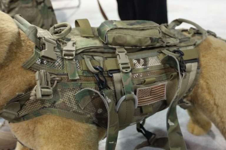 Dog Bug Out Bag Guide: Complete Checklist - Pew Pew Tactical