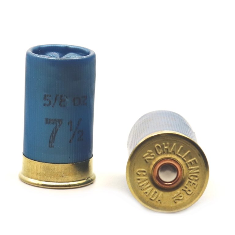 Best Shotgun Mini Shells: Birdshot, Buckshot & Slugs [Hands-On] - Pew ...