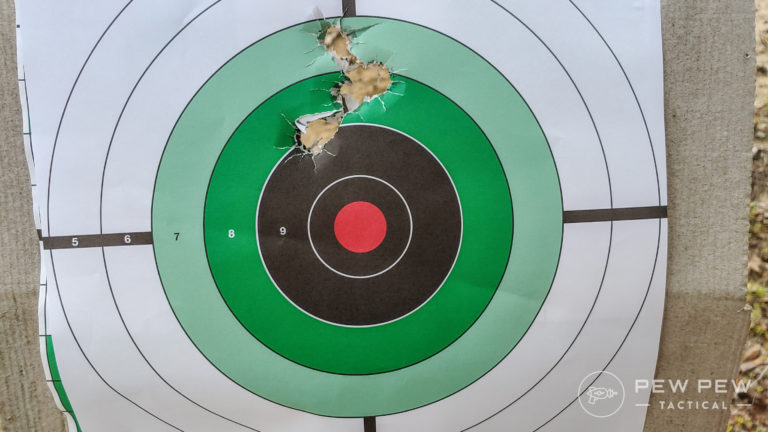 Best Shotgun Mini Shells: Birdshot, Buckshot & Slugs [Hands-On] - Pew ...