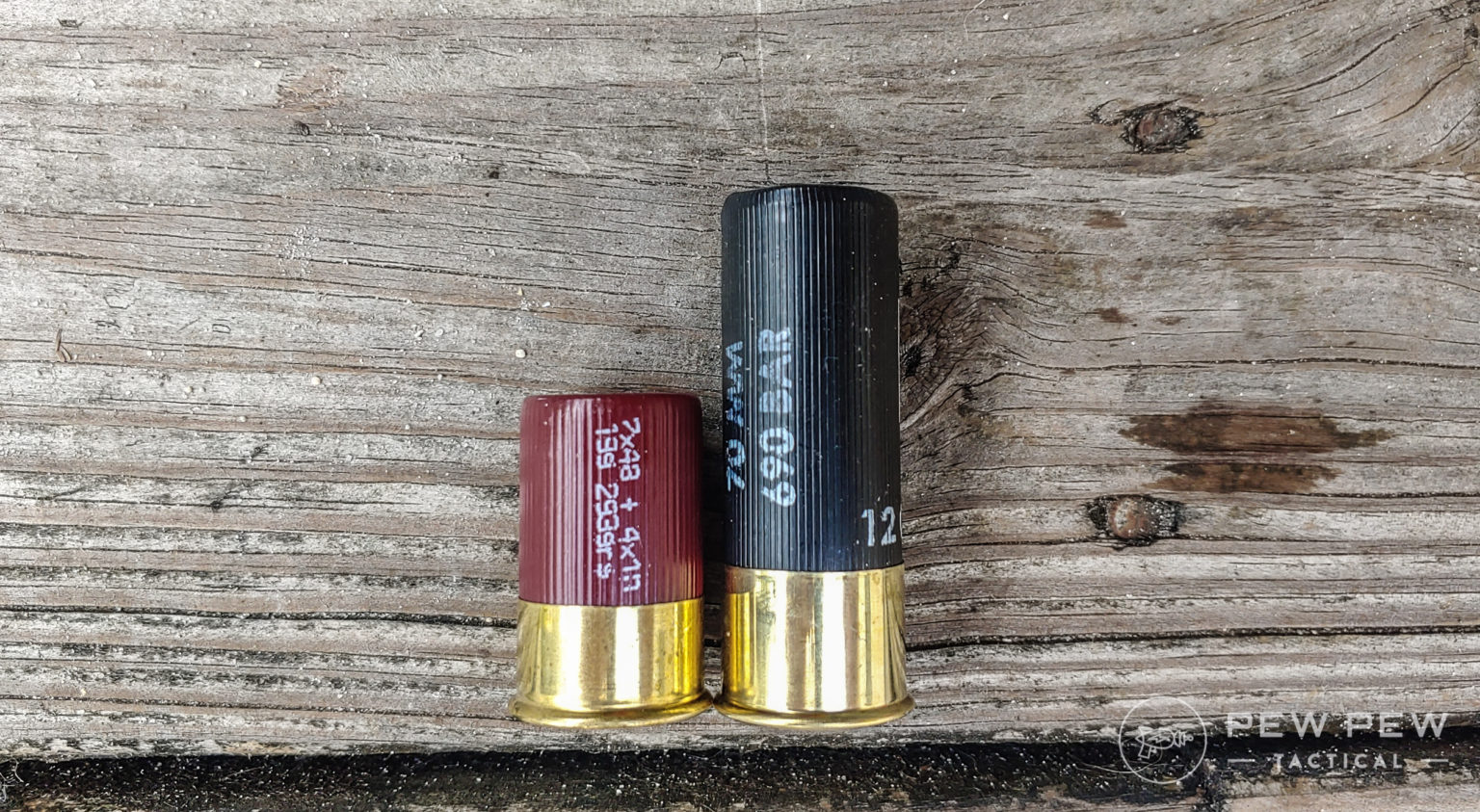 Best Shotgun Mini Shells: Birdshot, Buckshot & Slugs [Hands-On] - Pew ...