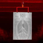 Best Shooting Targets and Stands [Tested] - Pew Pew Tactical