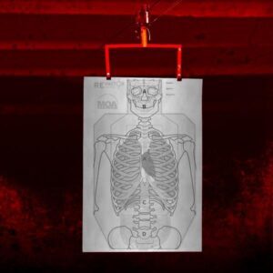 Best Shooting Targets and Stands [Tested] - Pew Pew Tactical