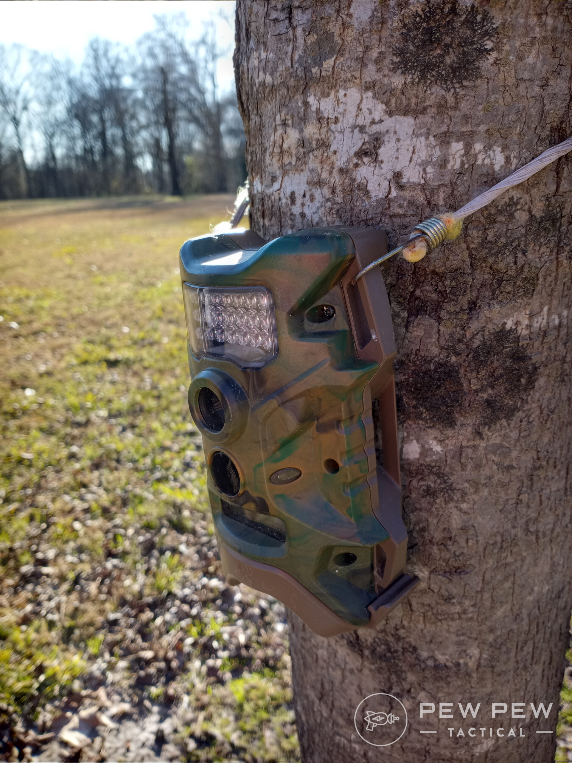 Best Trail Cameras: Hands-On Tested - Pew Pew Tactical