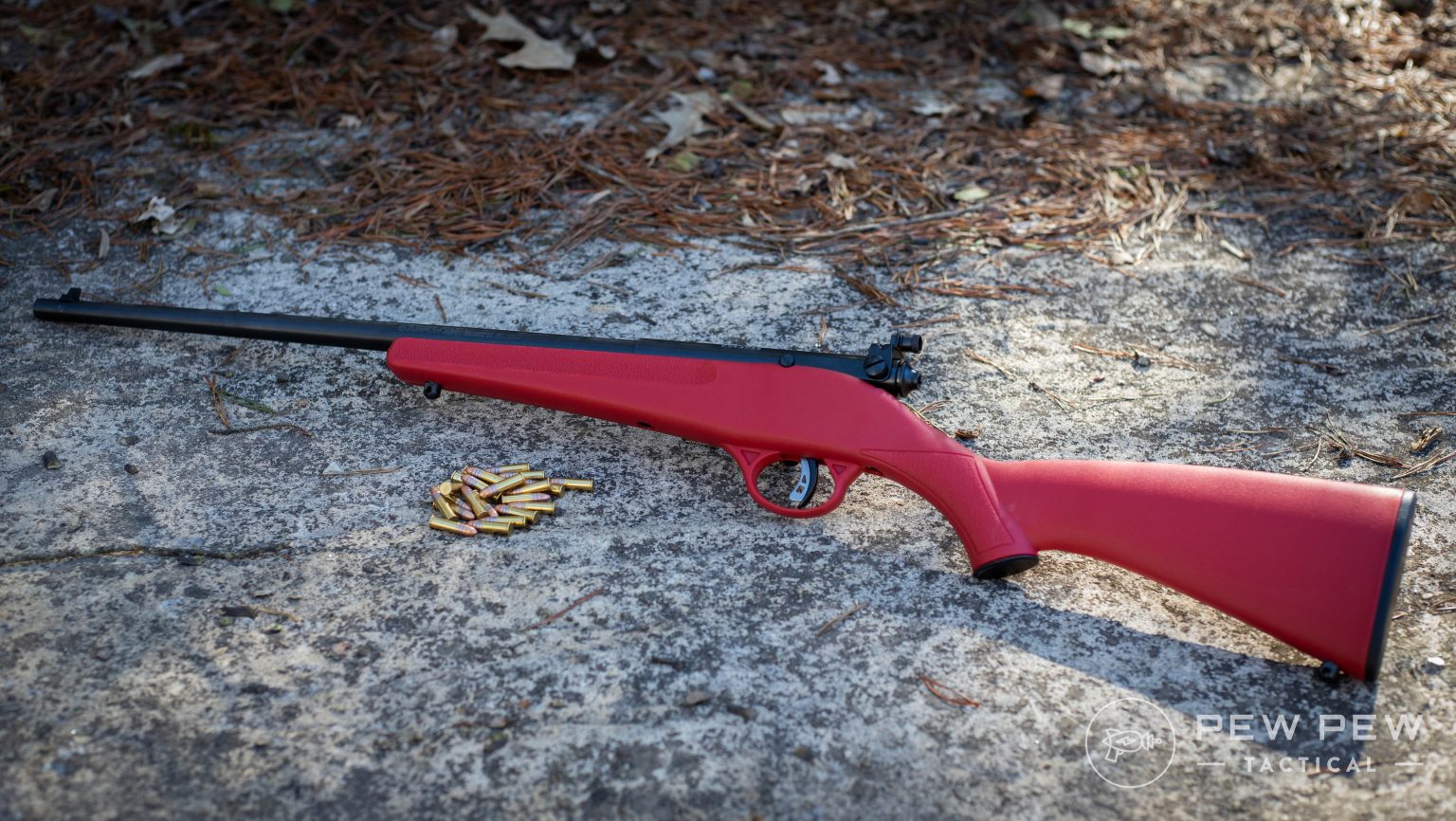 Best .22 LR Rifles: Bigger Isn't Always Better - Pew Pew Tactical