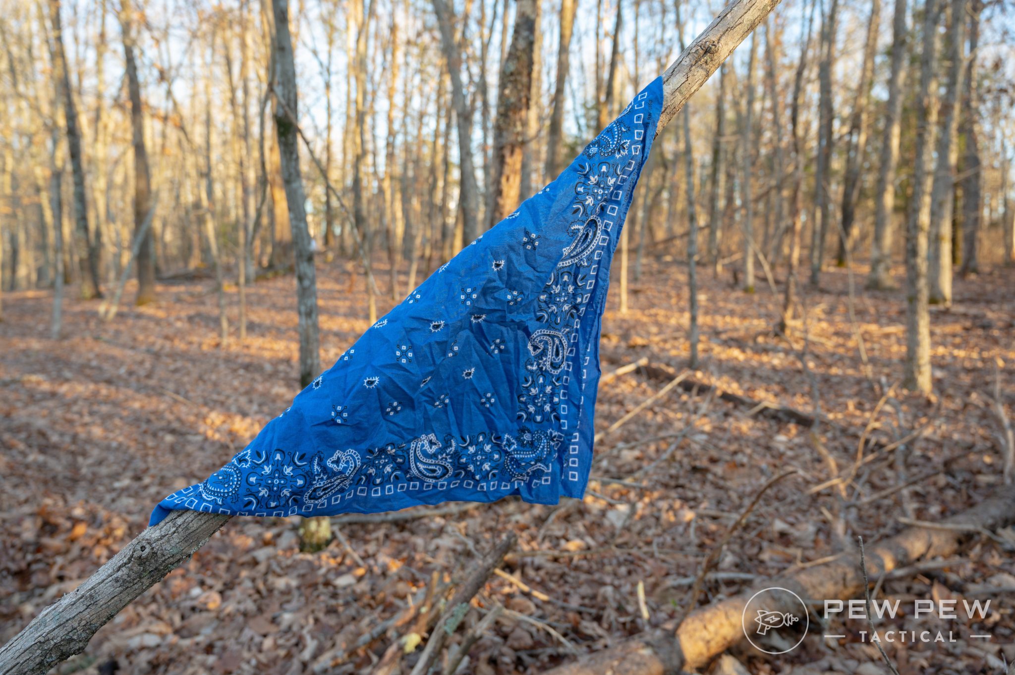 [How-To] Build a Family Bug Out Bag - Pew Pew Tactical