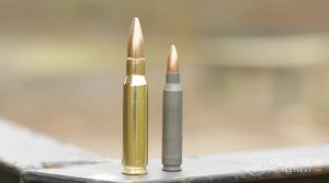 Best AR-10 Calibers: Power Packing Rounds for Hunting & Competition ...