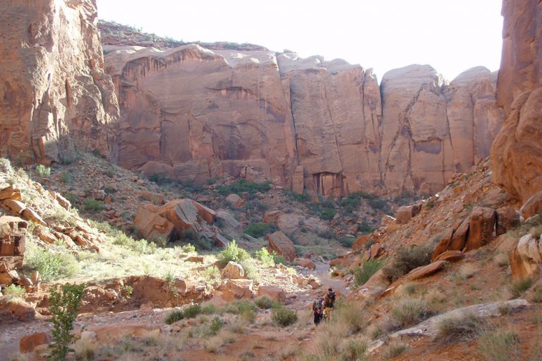 10 Best Wilderness Survival Courses [All Skill Levels] - Pew Pew Tactical