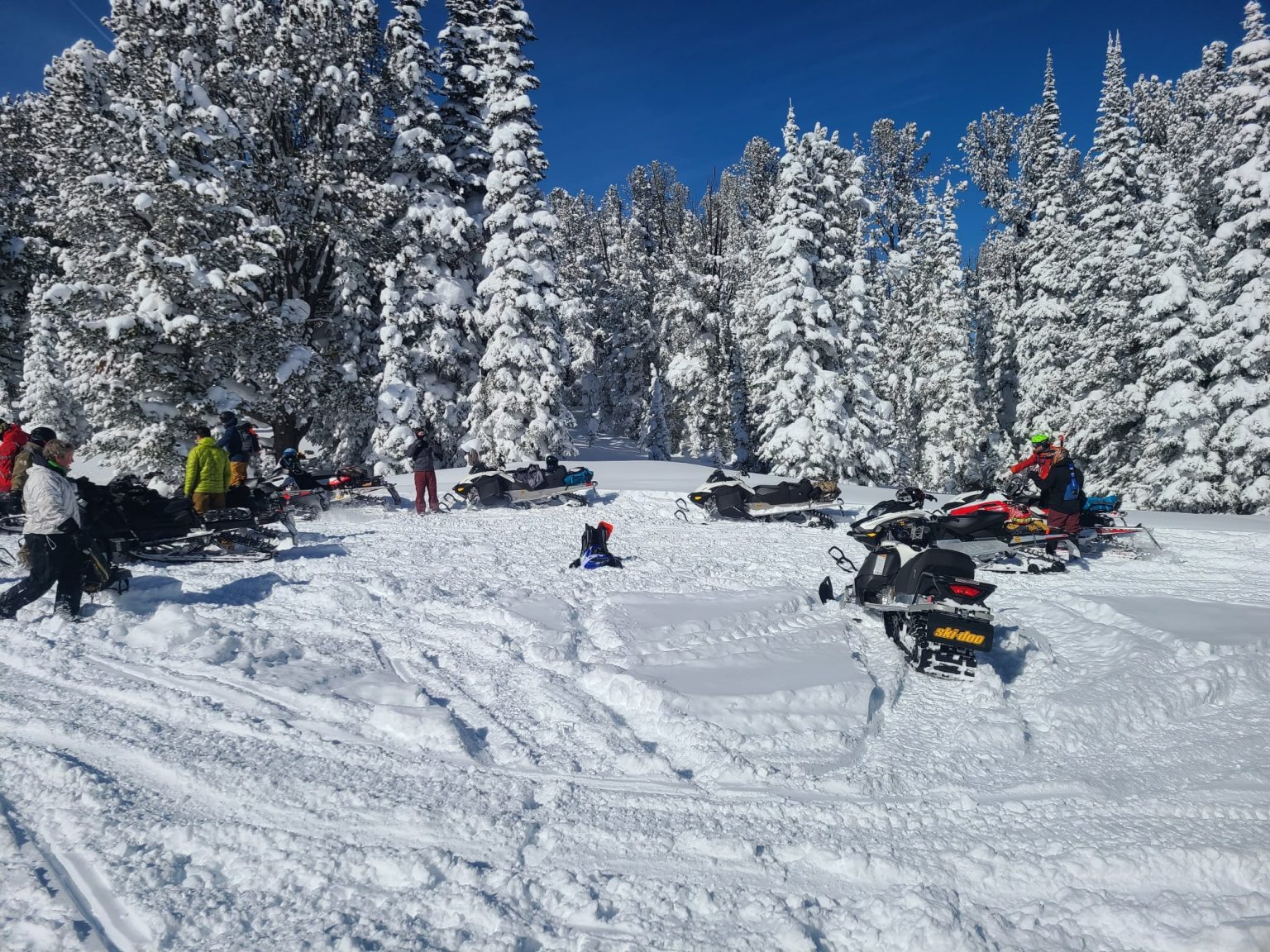 10 Best Wilderness Survival Courses [All Skill Levels] - Pew Pew Tactical