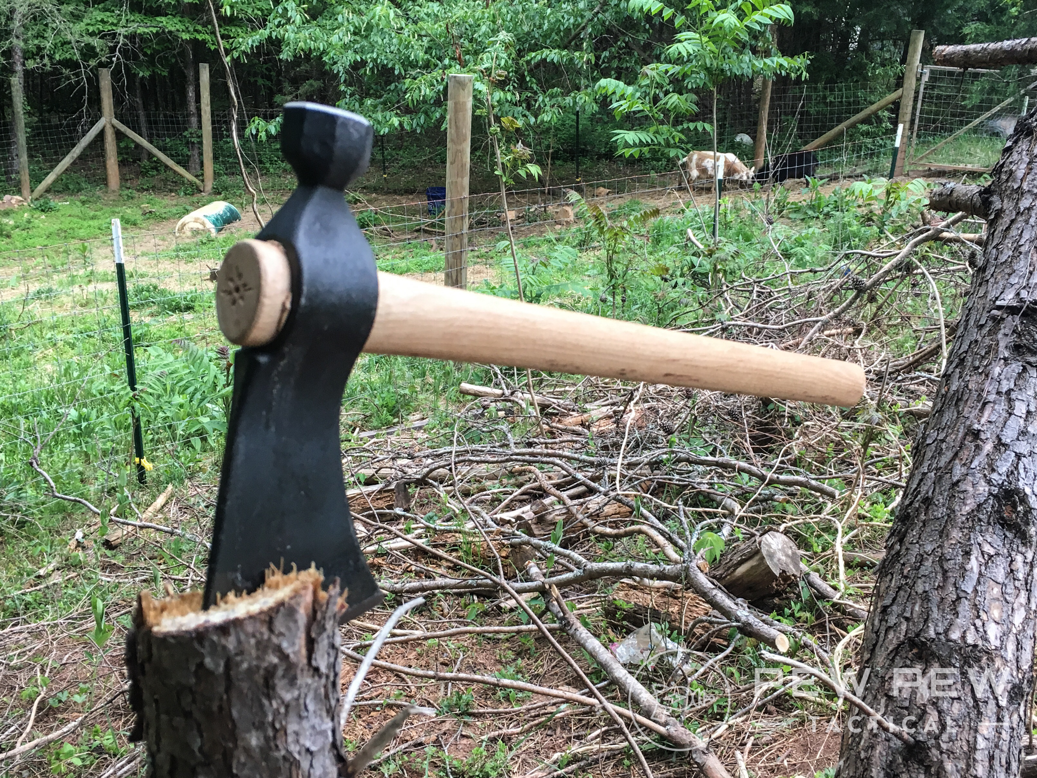 History of the Fighting Tomahawk (and Best Models) - Pew Pew Tactical