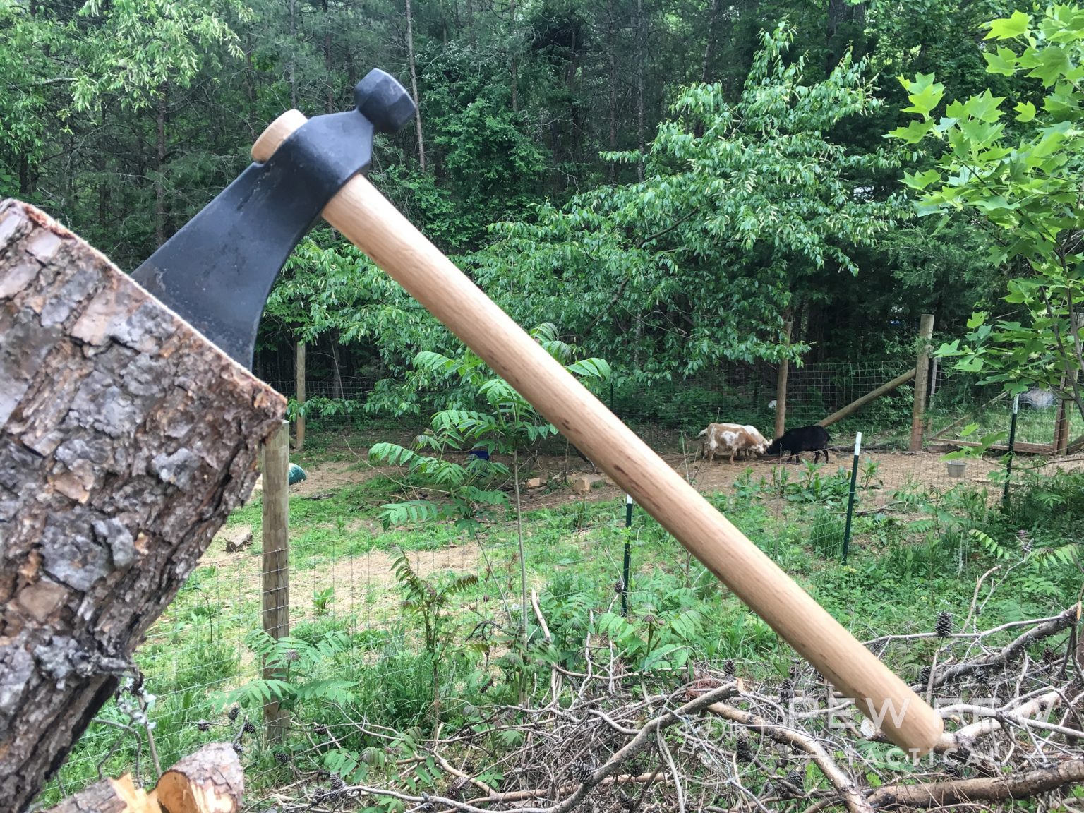 History of the Fighting Tomahawk (and Best Models) - Pew Pew Tactical