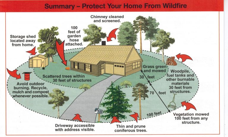 How To Survive a Wildfire - Pew Pew Tactical