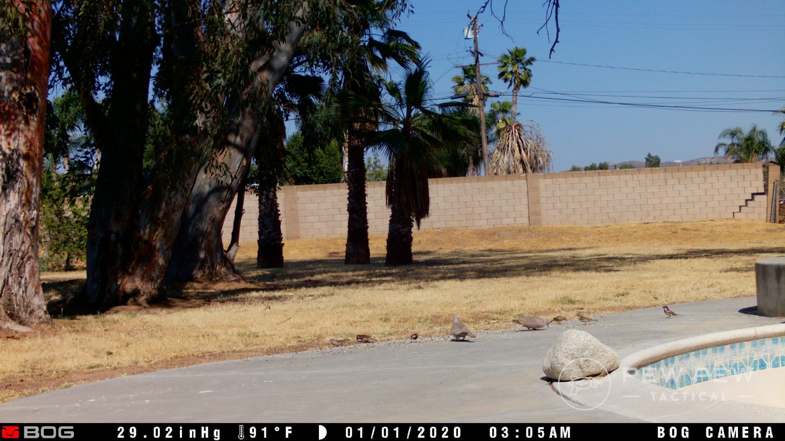 Best Trail Cameras: Hands-On Tested - Pew Pew Tactical