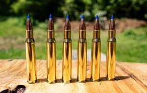 Tipped Bullets: What You Need to Know [Guide] - Pew Pew Tactical