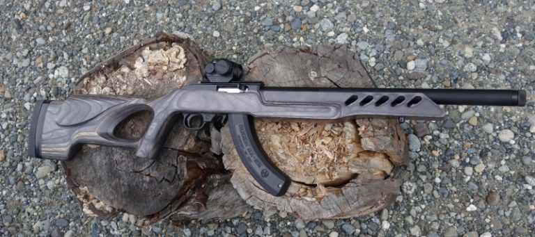 8 Best Ruger 10/22 Models [Plinking, Hunting, Competition] - Pew Pew ...