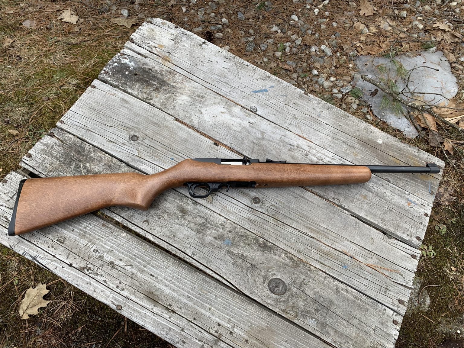 8 Best Ruger 10/22 Models [Plinking, Hunting, Competition] - Pew Pew ...