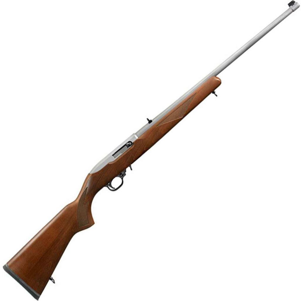 8 Best Ruger 10/22 Models [Plinking, Hunting, Competition] - Pew Pew ...