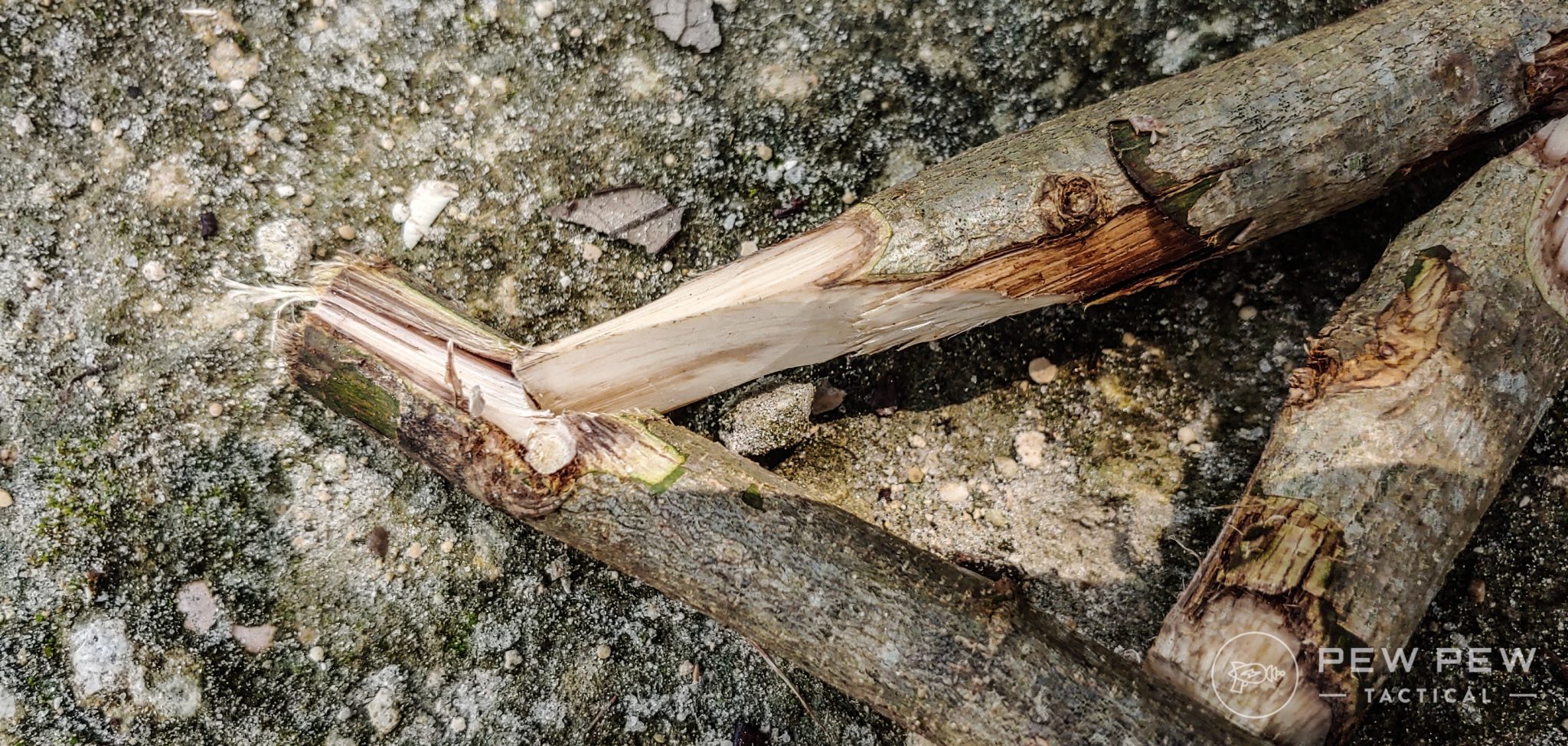 5 Essential Bushcraft Skills You Should Know - Pew Pew Tactical