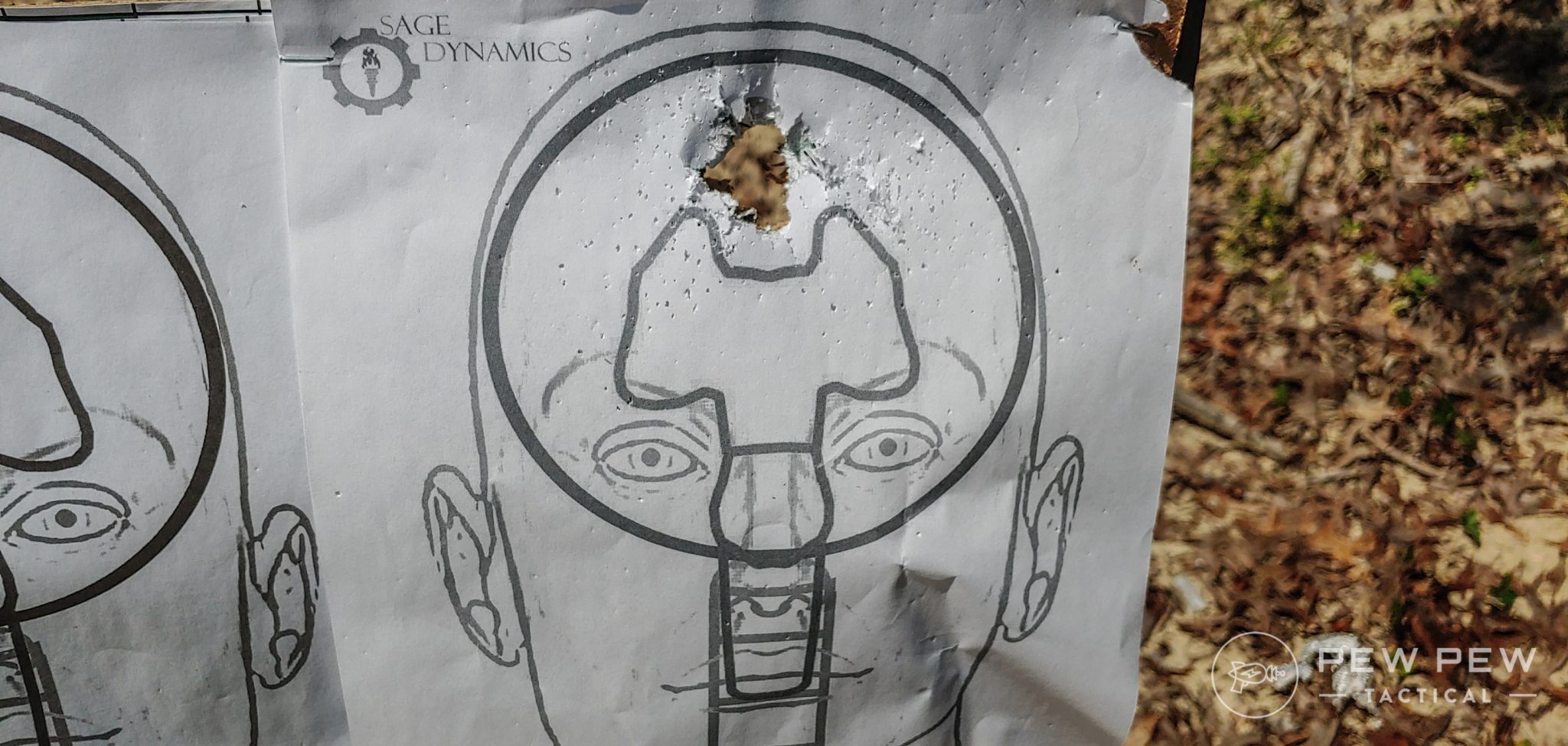 Effective Range of Pistols, Rifles, & Shotguns - Pew Pew Tactical