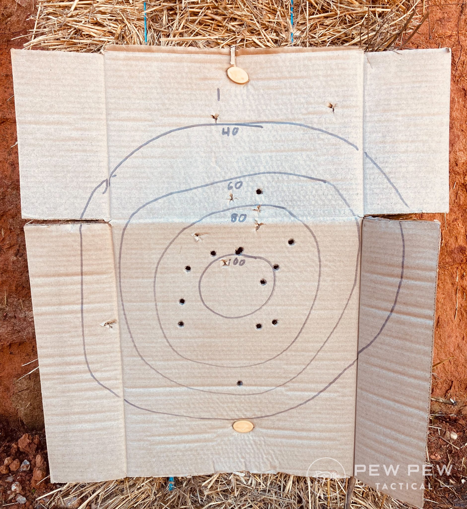 Taurus Judge Review: .410 Shotgun Revolver? - Pew Pew Tactical