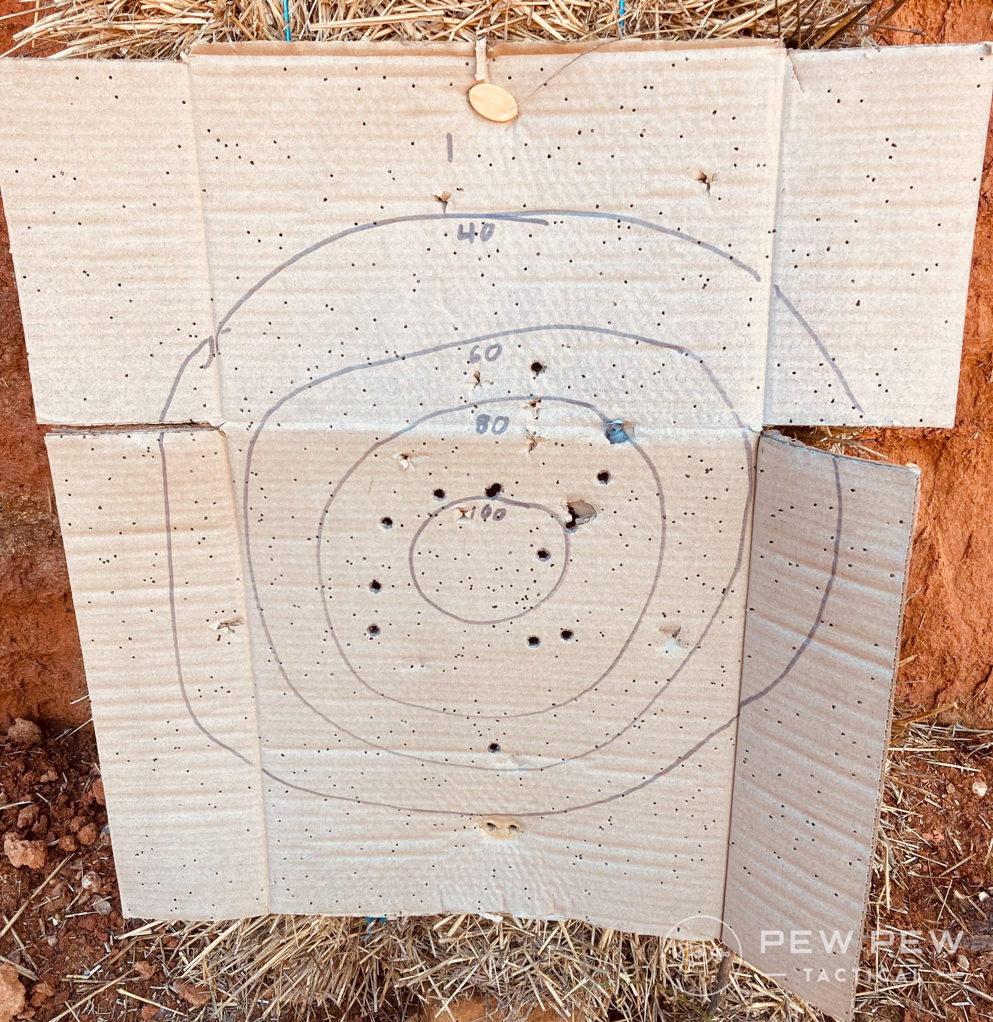 Taurus Judge Review: .410 Shotgun Revolver? - Pew Pew Tactical