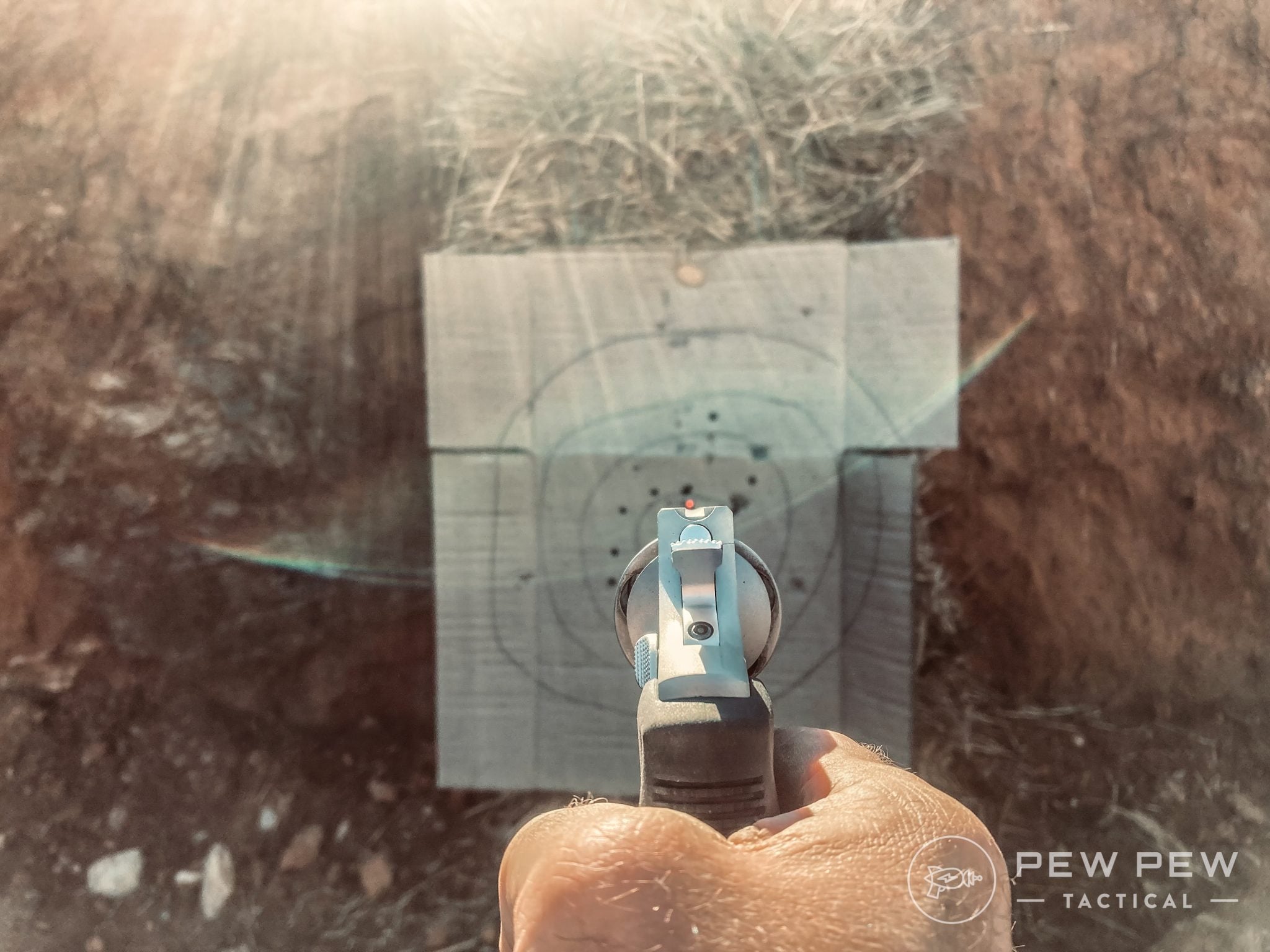 Taurus Judge Review: .410 Shotgun Revolver? - Pew Pew Tactical