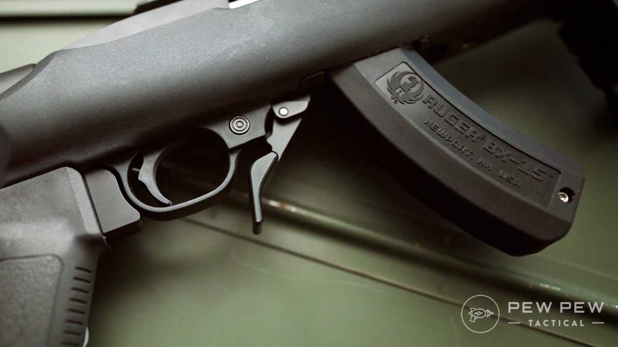 Ruger 22 Charger Review: Best Backpack Gun? - Pew Pew Tactical