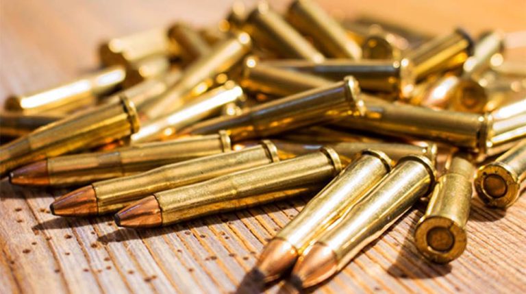 What Are Wildcat Cartridges & Which Ones Made the Mark? [Guide] - Pew ...