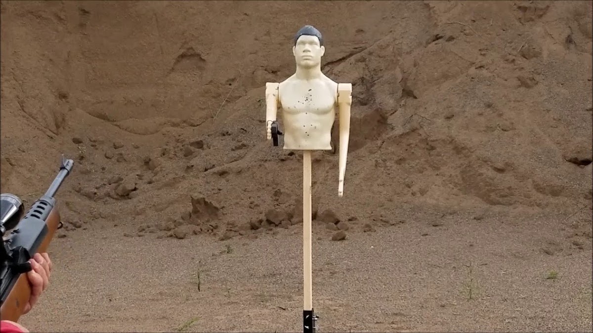 Best 3D Targets for Shooting - Pew Pew Tactical