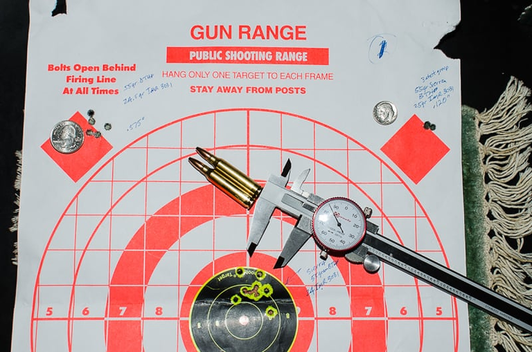 Most Underrated Rifles & Shotguns (To Impress Your Friends) - Pew Pew ...