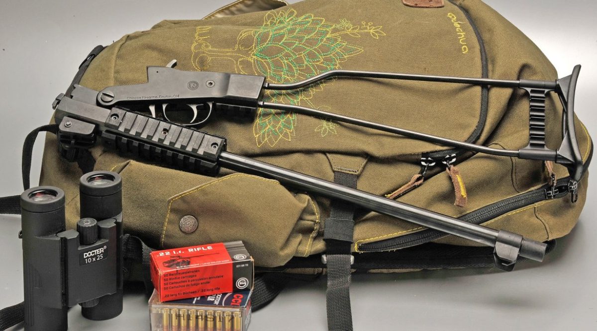Best Single-Shot Rifles: Hunting, Survival & Plinking [All Budgets ...