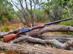 Best Single-Shot Rifles: Hunting, Survival & Plinking [All Budgets ...