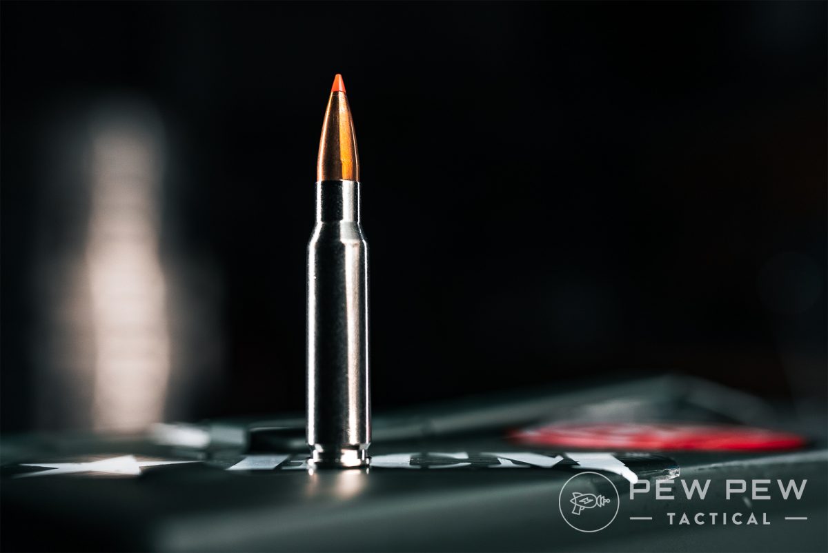 Best .300 Win Mag Rifles for Hunting - Pew Pew Tactical