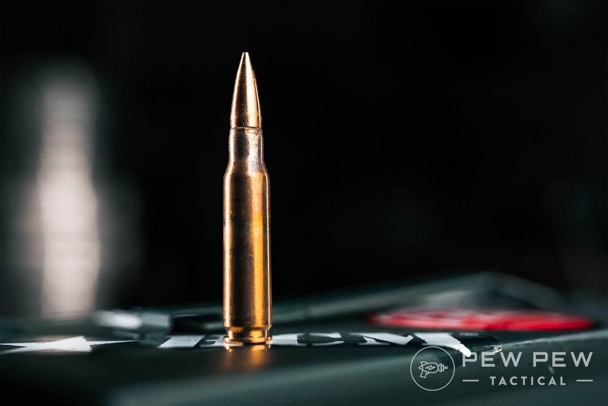 Best .300 Win Mag Rifles for Hunting - Pew Pew Tactical