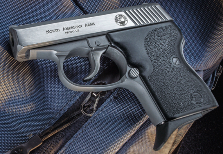 Best Mouse Guns: Tiny Guns for Spy-Level Concealment - Pew Pew Tactical