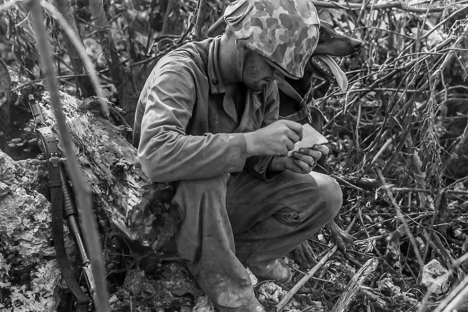 History of Combat Shotguns: Military Shotguns Through the Ages - Pew ...