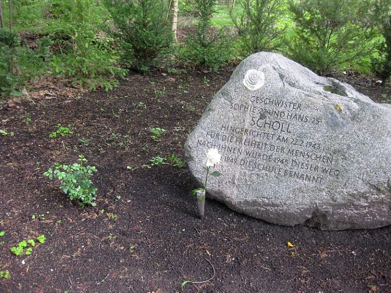 A Picture from History: The White Rose - Pew Pew Tactical