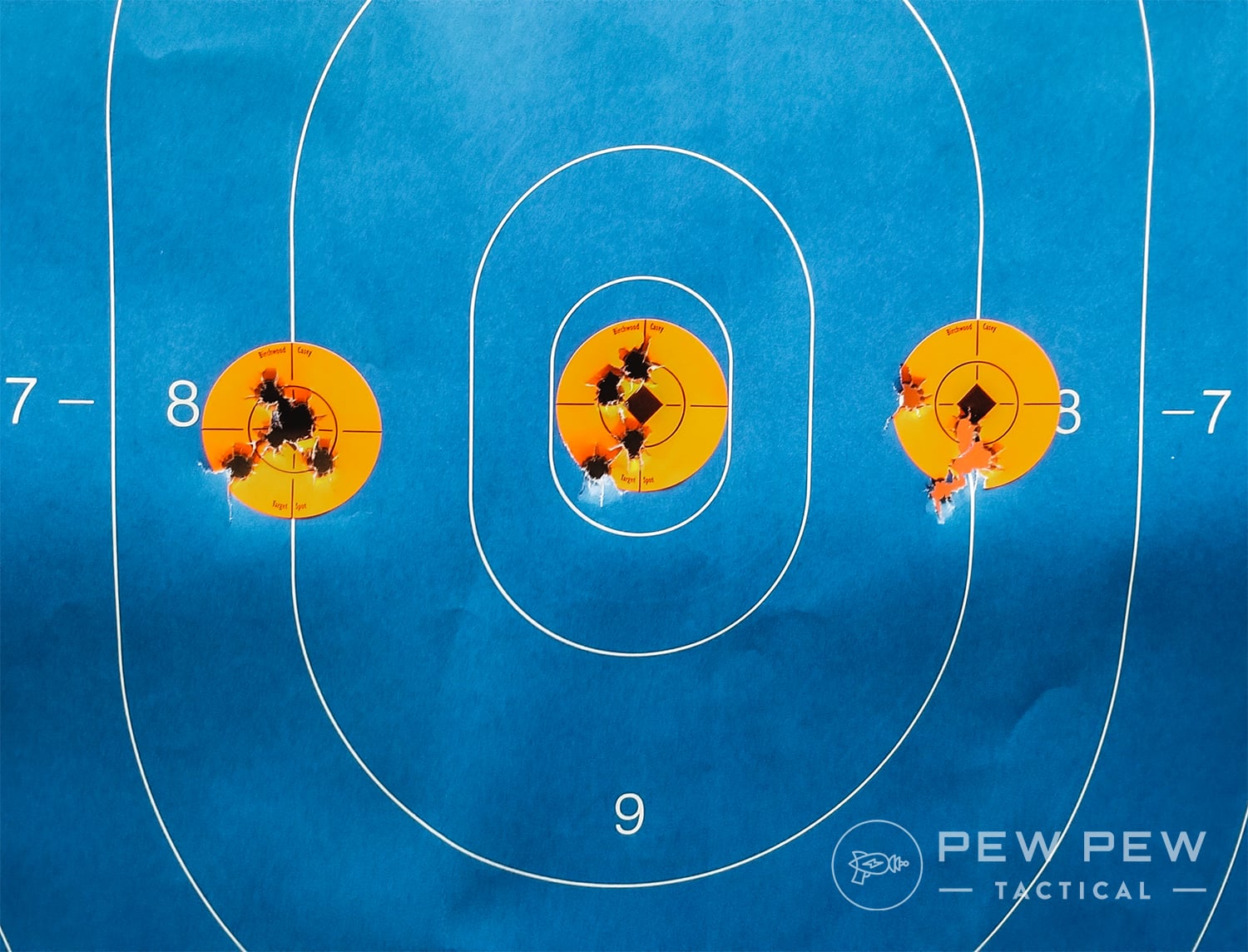Dan Wesson DWX Review [Range Tested] - Pew Pew Tactical