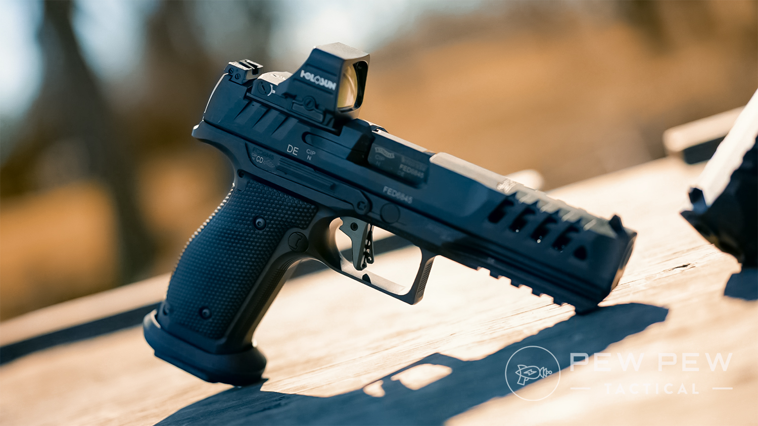 Canik Rival S vs Walther PDP Match SF: Can $900 Beat $1,800 at the ...