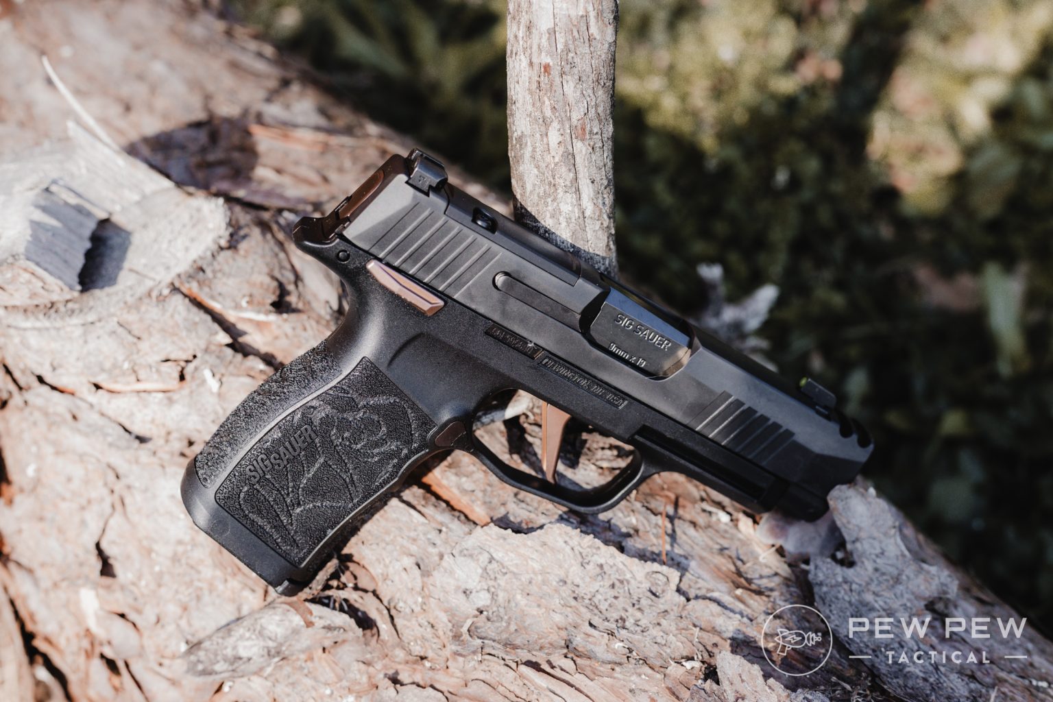 Best SIG Sauer Pistols for Concealed Carry [Tested & Reviewed] - Pew ...